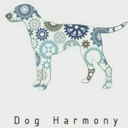 Tal yogev family Dog training - מבצע הראל 9, ראש העין | איזי