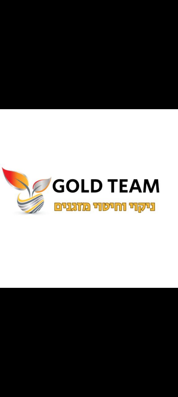 Gold team - צה"ל, ראש העין - ניקוי מזגנים | איזי