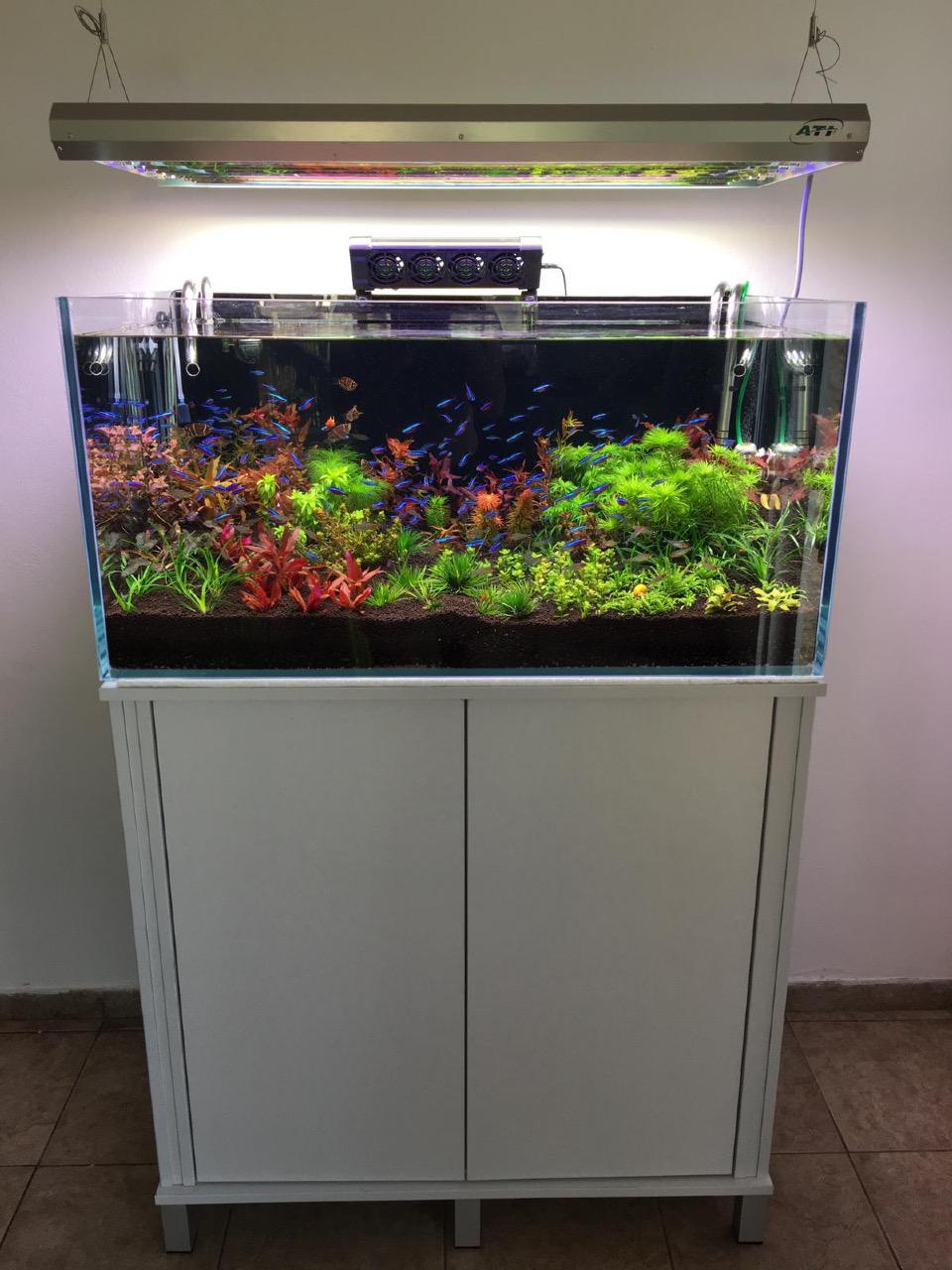 חוות אגמים - מקלף 2, חיפה - חנות אקווריומים ודגי נוי - איזי