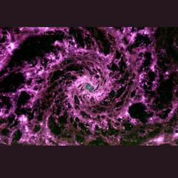 Astrostern - Nakhal Kholit Street 8 Mitzpe Ramon - Tour Guide | easy